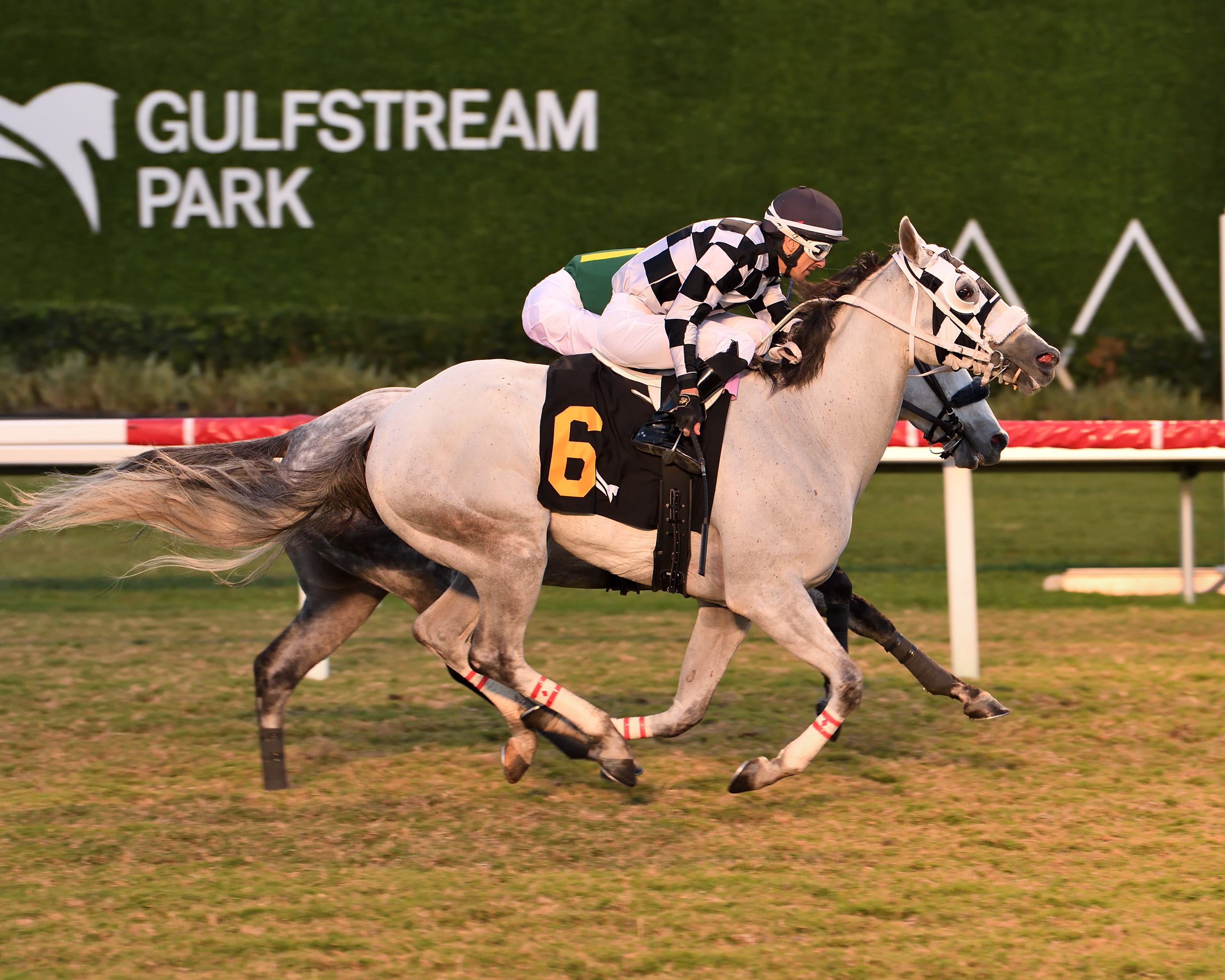 Lord Eddard Stark ($123.00) stuns with H. Allen Jerkens win